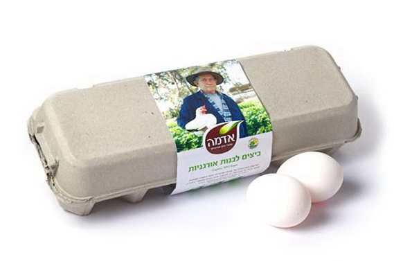 neogroup22 — POPSOP