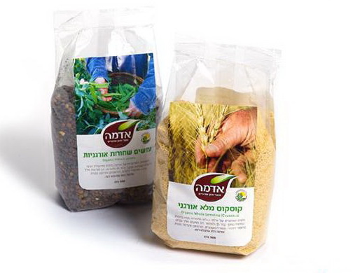 neogroup33 — POPSOP