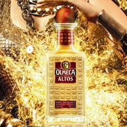 olmeca_altos — POPSOP